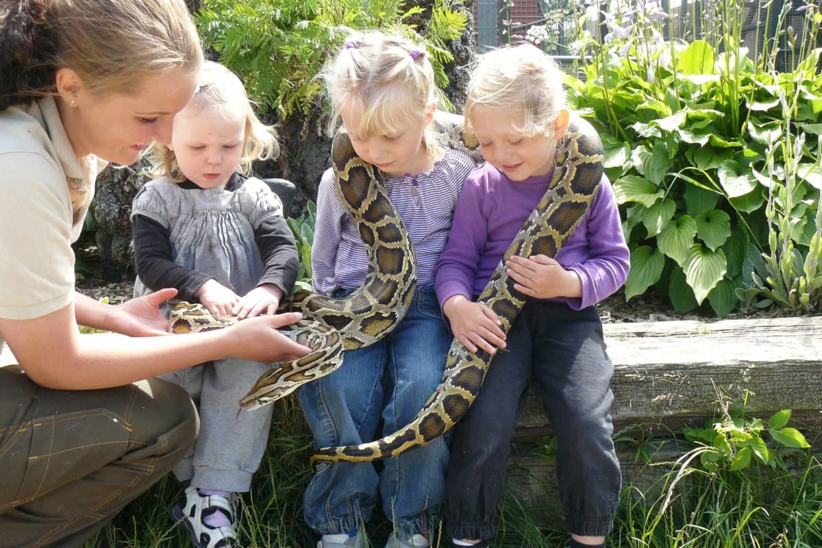 Blåvand Zoo