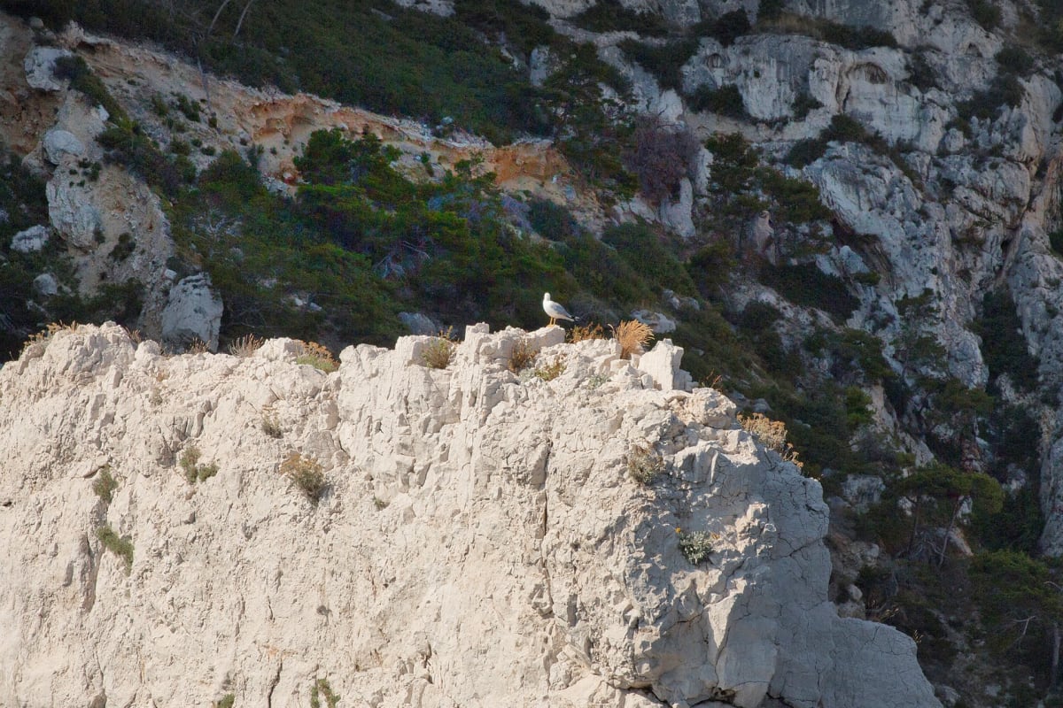 Les Calanques
